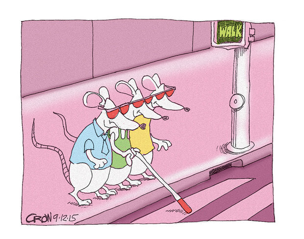 Blind mice ‘Leading’